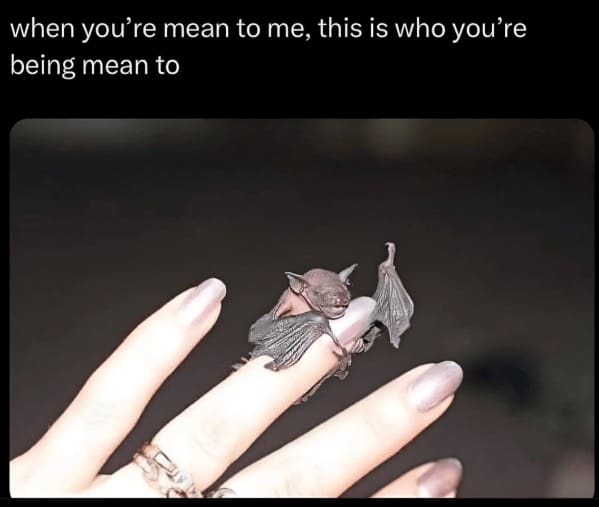 30 Bat Memes For Halloween Night Smiles