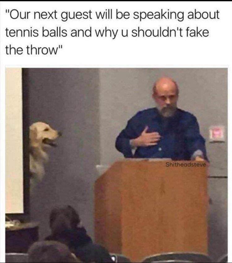 25 Classic Memes That Still Do The Heavy Lifting