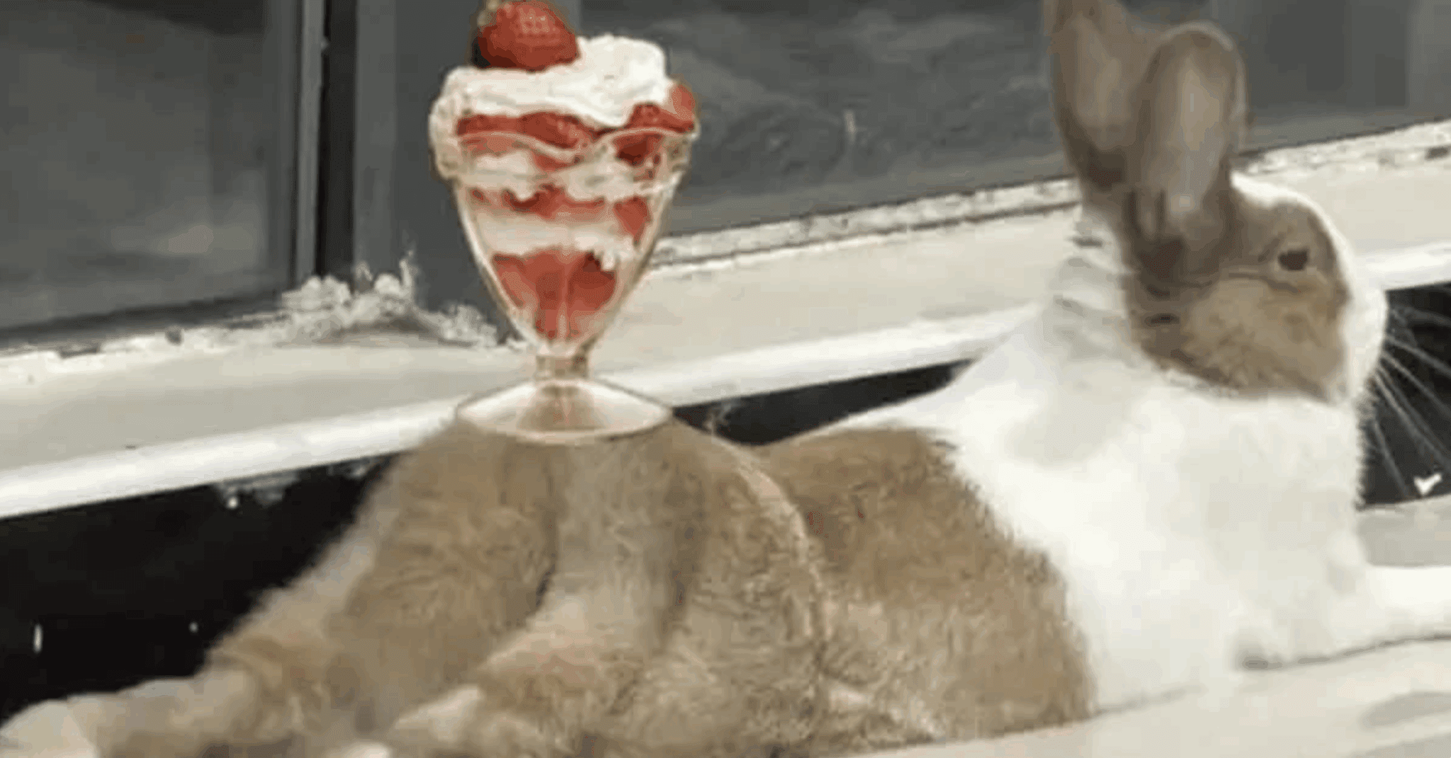 35 Cursed Images For Weird Weekend Laughs