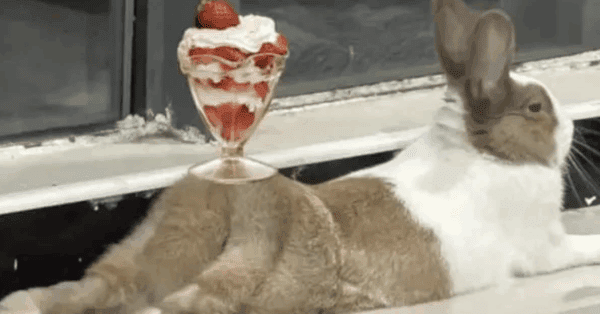 35 Cursed Images For Weird Weekend Laughs