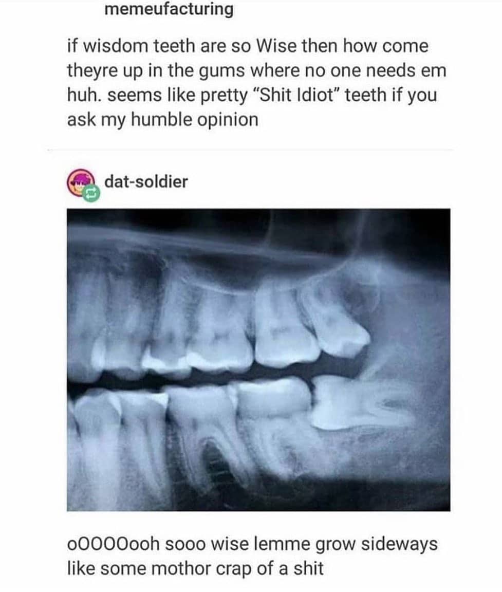 dentist memes-21-10-7-2025 - Thunder Dungeon | The Funniest Memes. Period.