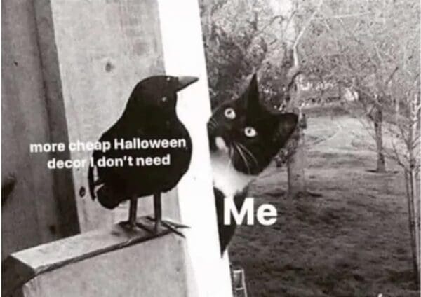 22 Home Decor Memes for the Eternal Renovator With 100 Unfinished Projects