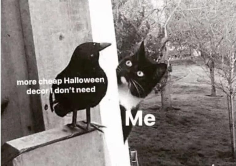 22 Home Decor Memes for the Eternal Renovator With 100 Unfinished Projects