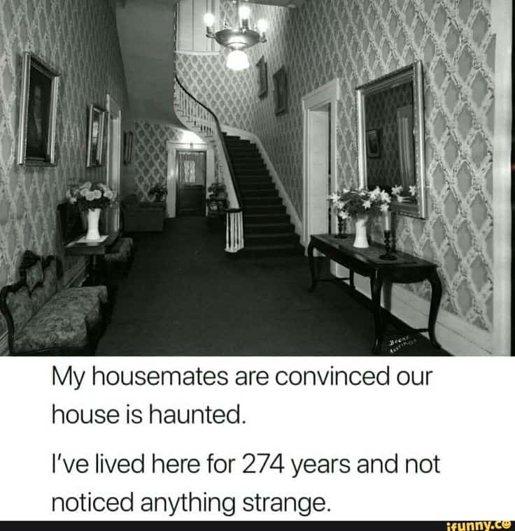 haunted house memes-22-10-2-2025 - Thunder Dungeon | The Funniest Memes ...
