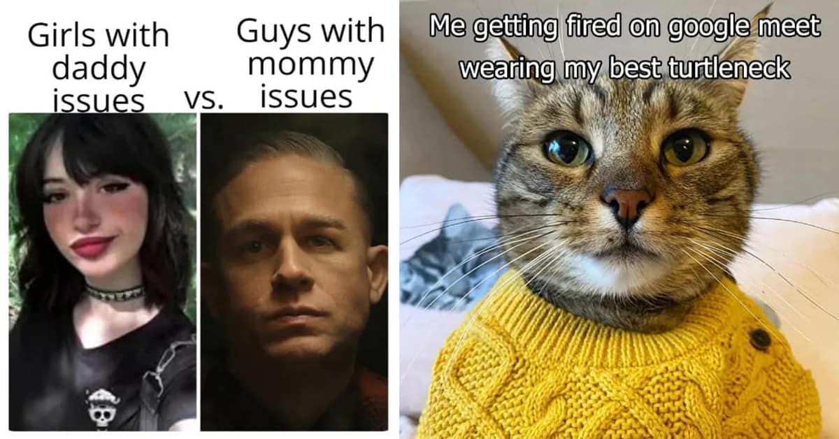 30 Memes that will make you say "Wait, that's illegal..."