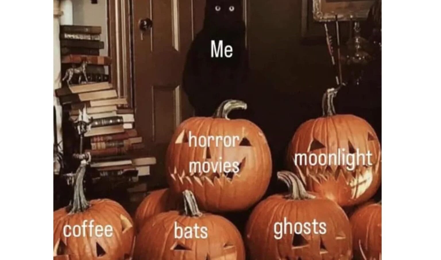 40 Positive Memes That Will Instantly Make You Feel Better About Life