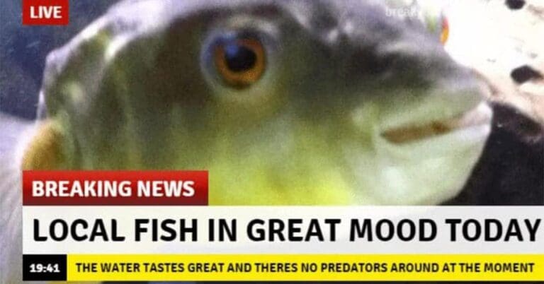 21 HOA Memes That Perfectly Capture the Soul-Crushing Grip of Your ...