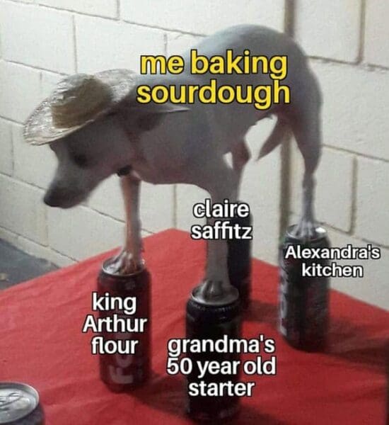 30 Bread Memes For Carb-Loading Laughs