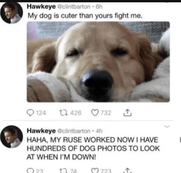 classic memes-13-20251117 - Thunder Dungeon | The Funniest Memes. Period.