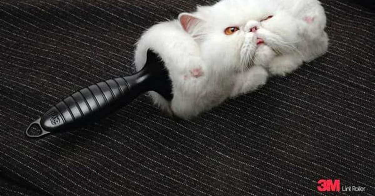 30 Clever Ads With Genius Ad Design Wins