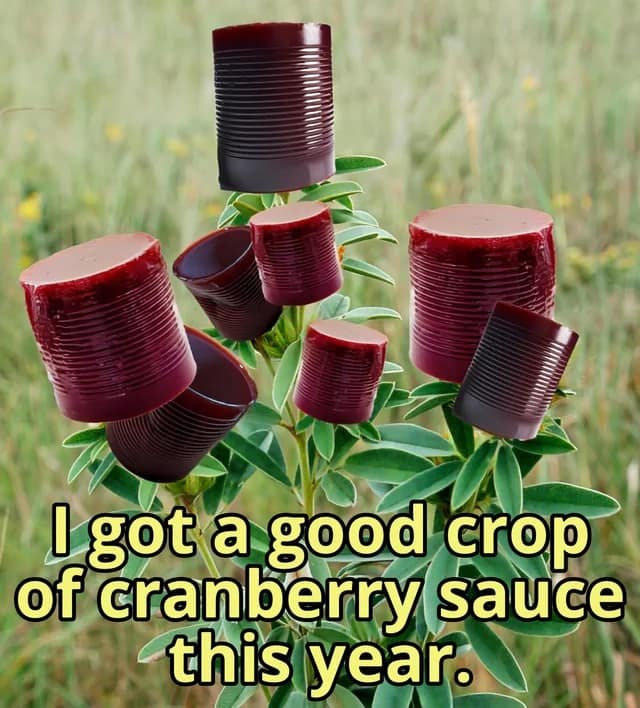 cranberry sauce memes-26-20251126 - Thunder Dungeon | The Funniest ...