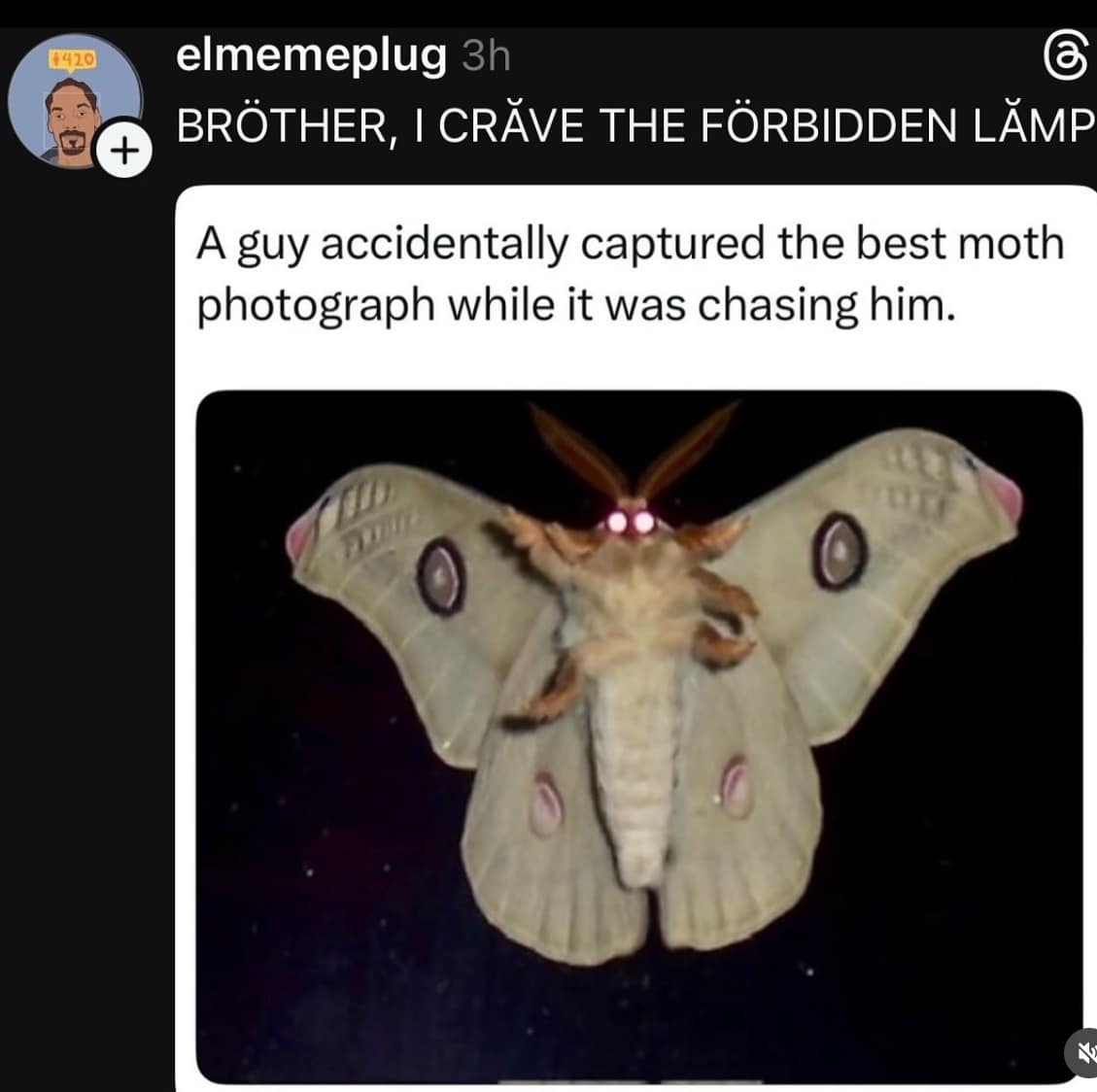 funny memes-14-11-17-2025 - Thunder Dungeon | The Funniest Memes. Period.