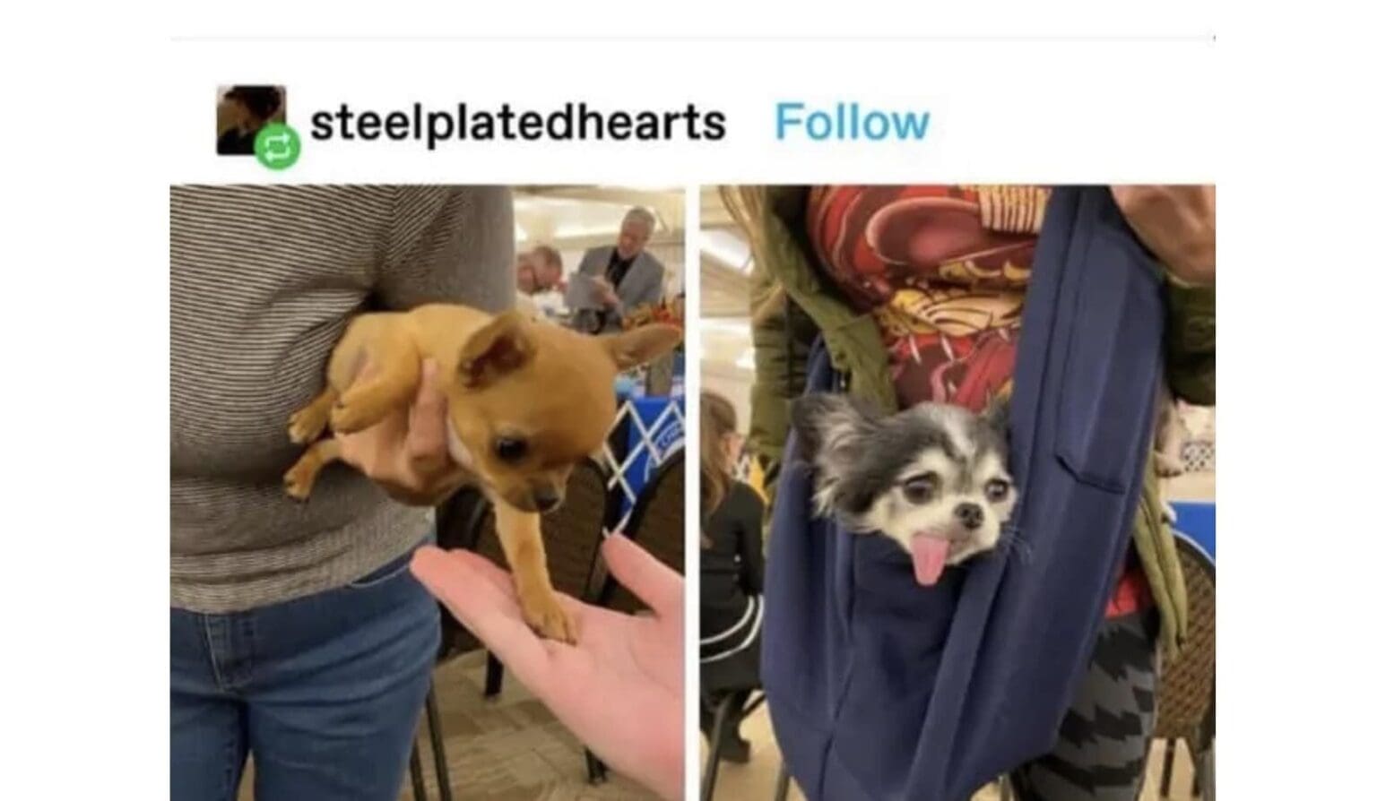 40 Coding Memes That Definitely Won’t Compile No Matter How Hard You Try