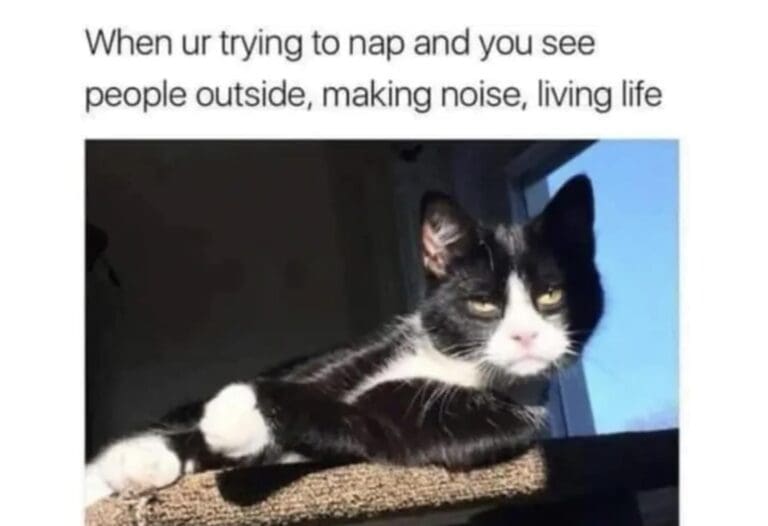 35 Funny Sleep Memes for Professional Nappers Everywhere