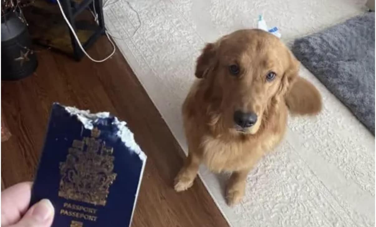 43 Skateboarding Memes For Riders Who Live on Ibuprofen