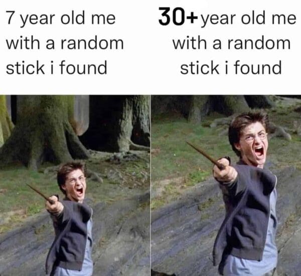 30 Harry Potter Memes To Warm Your Wizard Heart