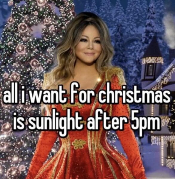 25 Mariah Carey Memes Ushering In Defrost Season