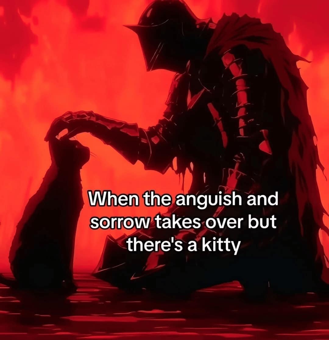 meme dump-02-5-20251124 - Thunder Dungeon | The Funniest Memes. Period.