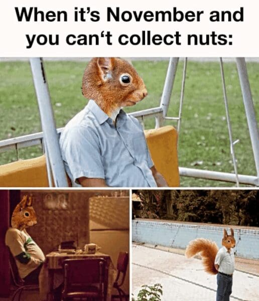 26 No Nut November Memes for People Trying (and Failing) to Hold Strong