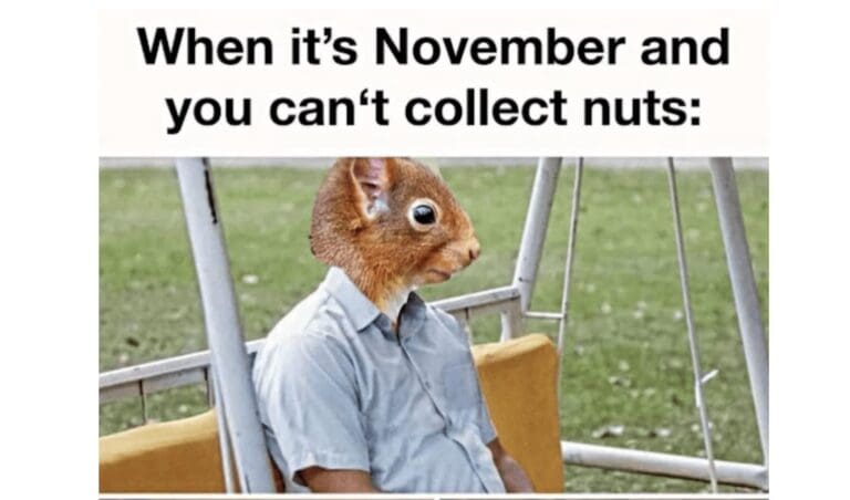 26 No Nut November Memes for People Trying (and Failing) to Hold Strong