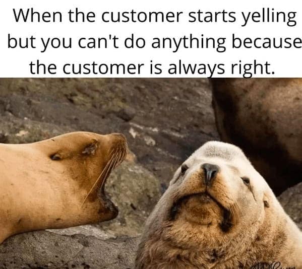 40 Retail Memes To Survive Peak Shopping Season