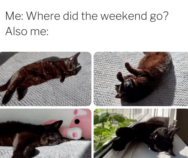 24 Sunday Memes To Delay Monday Feelings
