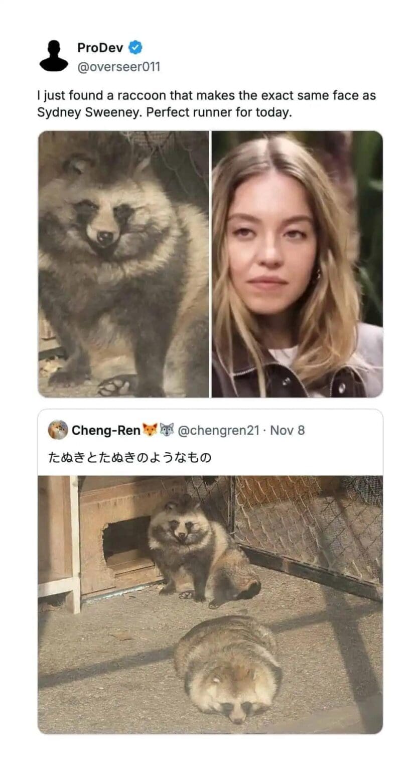 GQ Moment Goes Viral: 27 Sydney Sweeney Blank Stare Memes