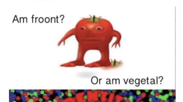 Lizzo Quitting Memes: 16 Memes And Reactions