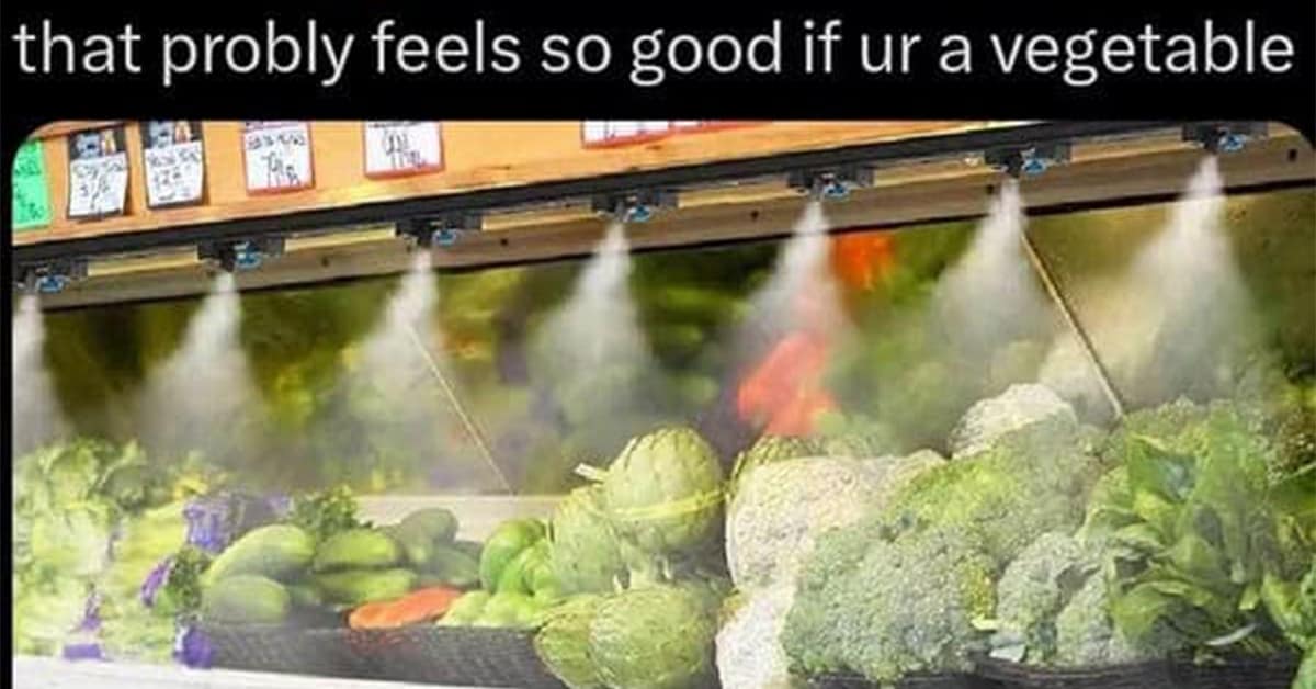 vegetable memes gallery featured image-20251126 - Thunder Dungeon | The ...