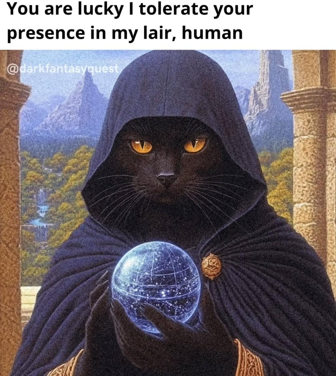 wizard meme-12-20251126 - Thunder Dungeon | The Funniest Memes. Period.