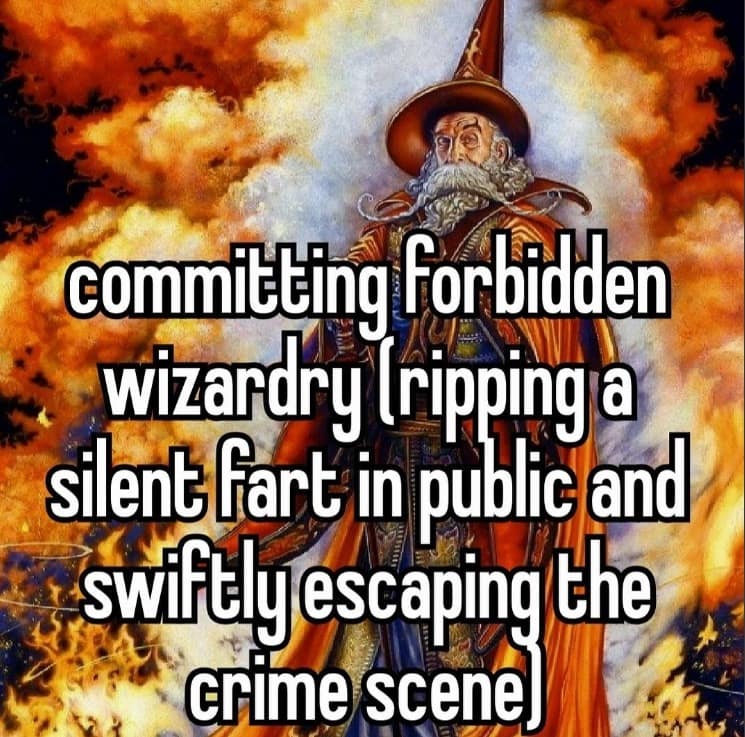 wizard meme-2-20251126 - Thunder Dungeon | The Funniest Memes. Period.