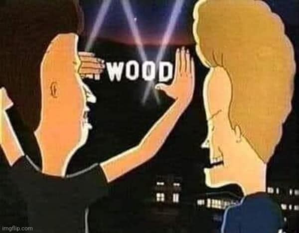 27 Beavis And Butthead Memes That Still Melt Brain Cells