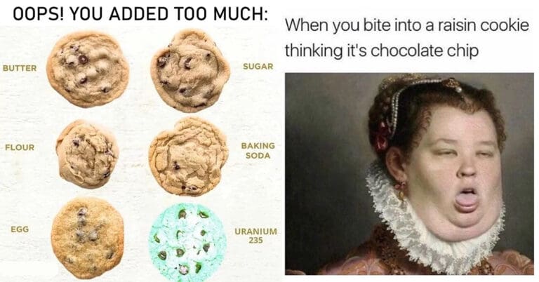32 Cookie Memes Celebrating National Cookie Day 2025