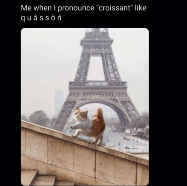 24 Croissant Memes To Fuel Your Butter Cravings