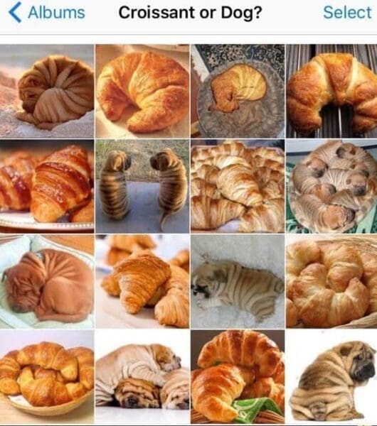 24 Croissant Memes To Fuel Your Butter Cravings