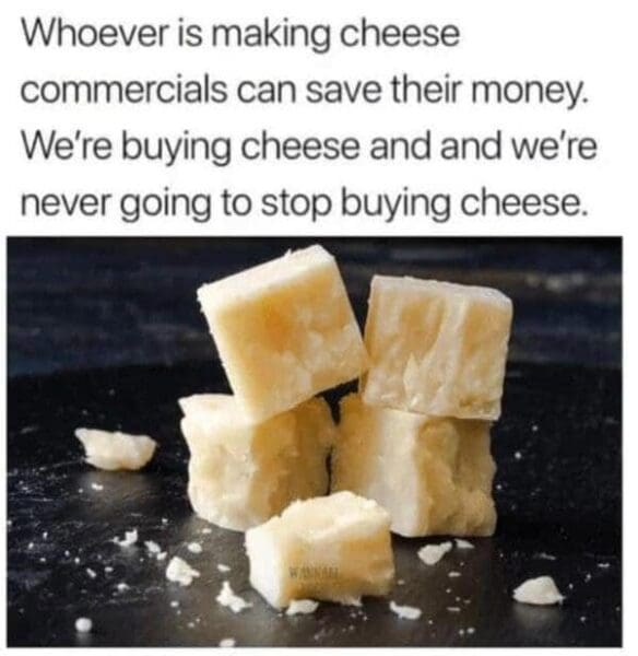 48 Funny Cheese Memes For Dairy-Obsessed Scrolls