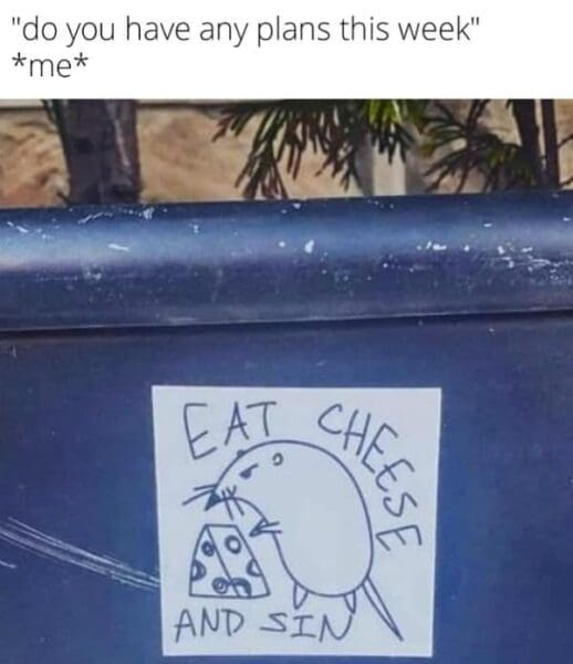 48 Funny Cheese Memes For Dairy-Obsessed Scrolls