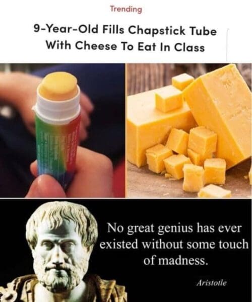 48 Funny Cheese Memes For Dairy-Obsessed Scrolls