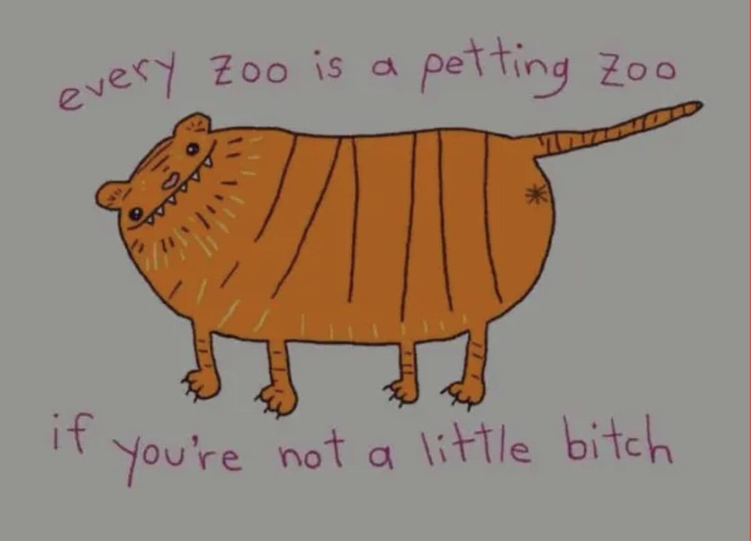 Christmas Cat Memes: 39 Pics of Fur, Festivity, and Feigned Cheer