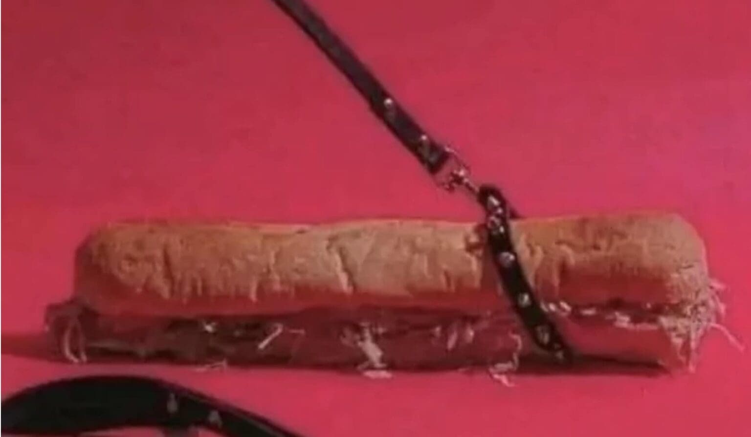 40 Coding Memes That Definitely Won’t Compile No Matter How Hard You Try