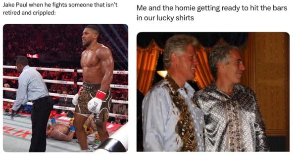 Christmas Cat Memes: 39 Pics of Fur, Festivity, and Feigned Cheer