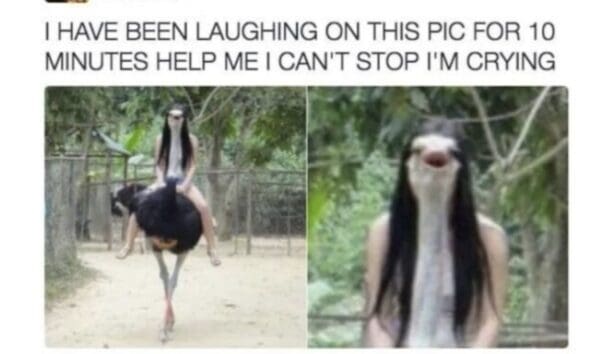 The Morning Commute - 30 Daily Funny Pictures and All the Memes You Missed