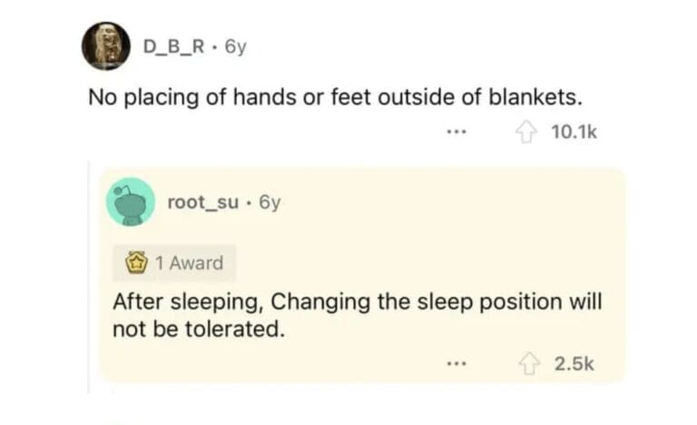 25 Times Cats Enforced Their Strict Household Laws