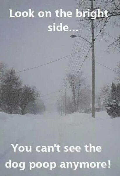 34 2026 Snowmageddon Memes Because North America Got Buried