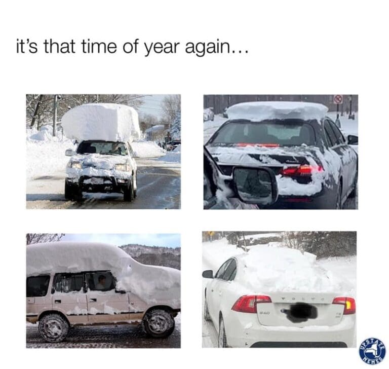 34 2026 Snowmageddon Memes Because North America Got Buried