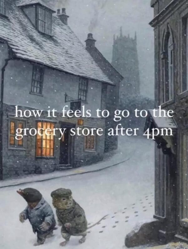 34 2026 Snowmageddon Memes Because North America Got Buried