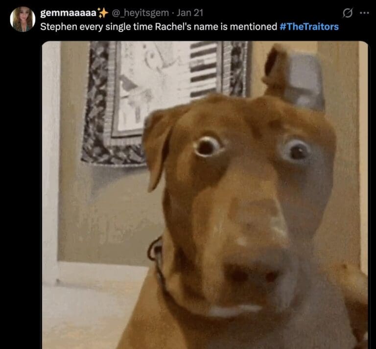 25 The Traitors UK Memes That Ate Season 4 Alive