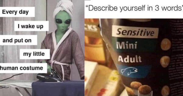 25 Classic Memes For When The Old Internet Wins