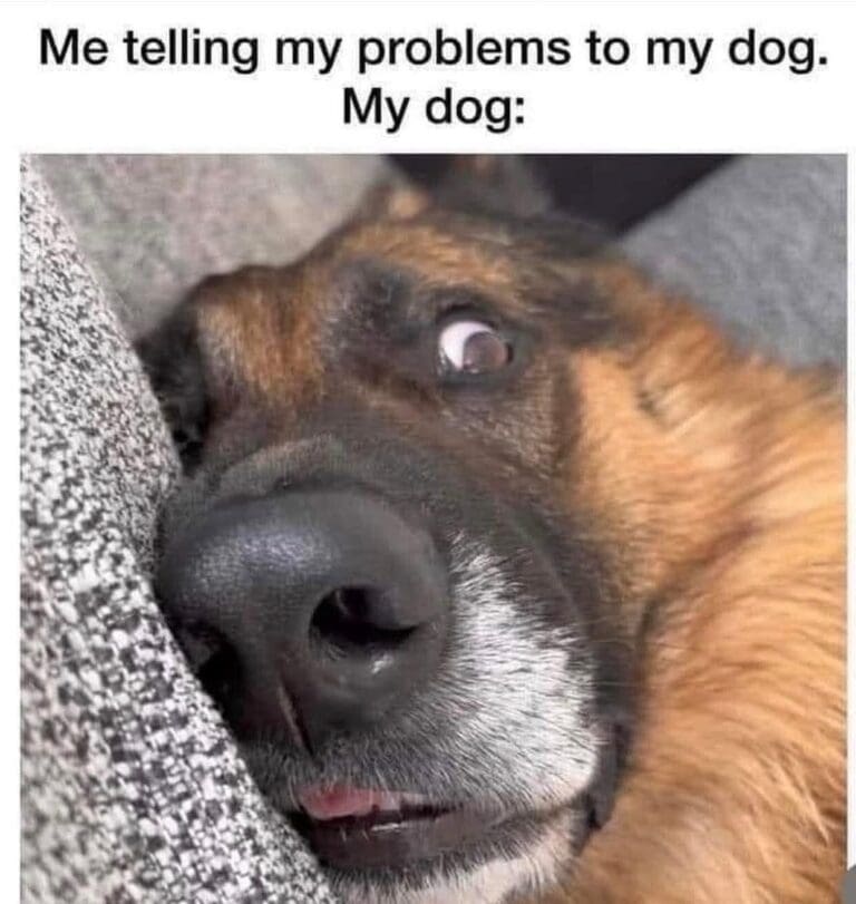25 Classic Memes That Feel Like They Were Posted Yesterday