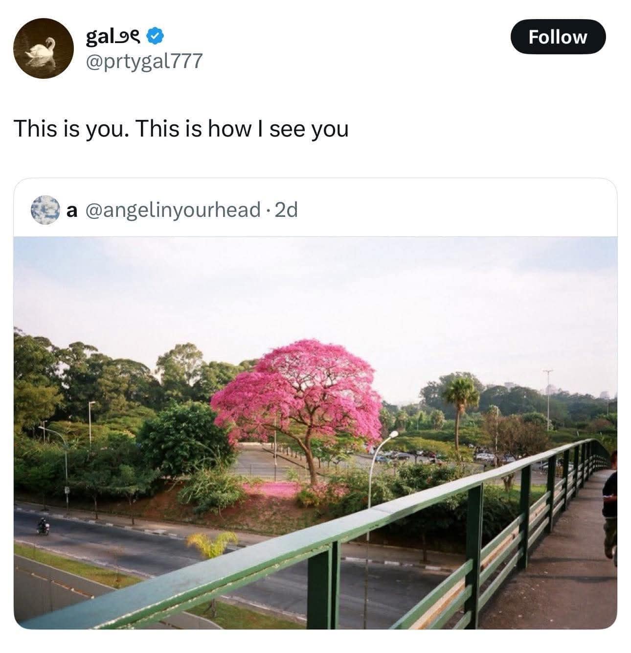 meme dump-11-20260120 - Thunder Dungeon | The Funniest Memes. Period.